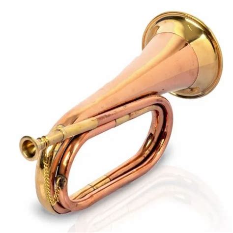Brasswind Instrument Bugle Tr Musicals Trader Wholesaler Distributor From New Delhi