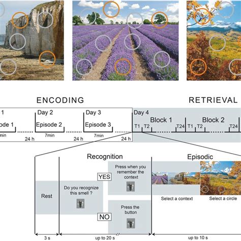 episodic memory task design a the three spatio contextual