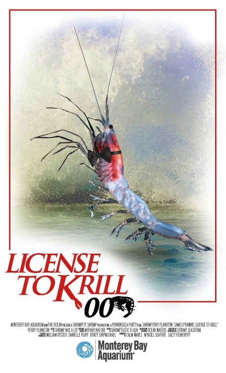 🎬 Lights Camera Shrimp Tumbex