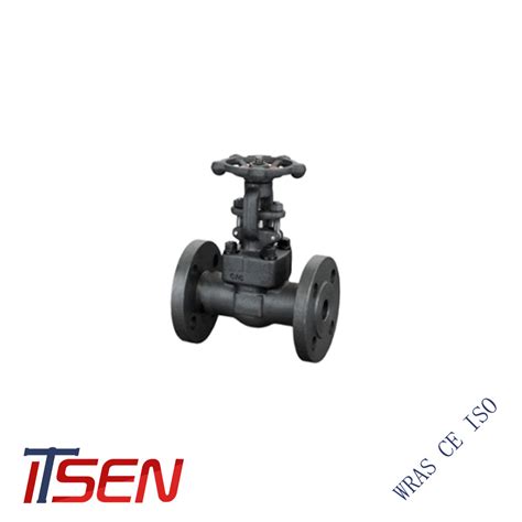 Dn15 Dn20 Dn32 Dn40 Dn50 Flange Gate Valve With A105 Body 13cr Trims