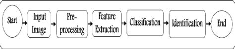 Figure 1 From Comparative Analysis Of Face Recognition Based On Multiple Feature Domains