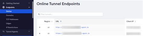 The Ngrok Blueprint Perfecting Local Development Setup