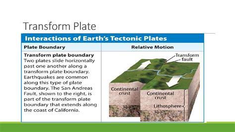 Plate Tectonics Pages 49 51 Of Inb Essential