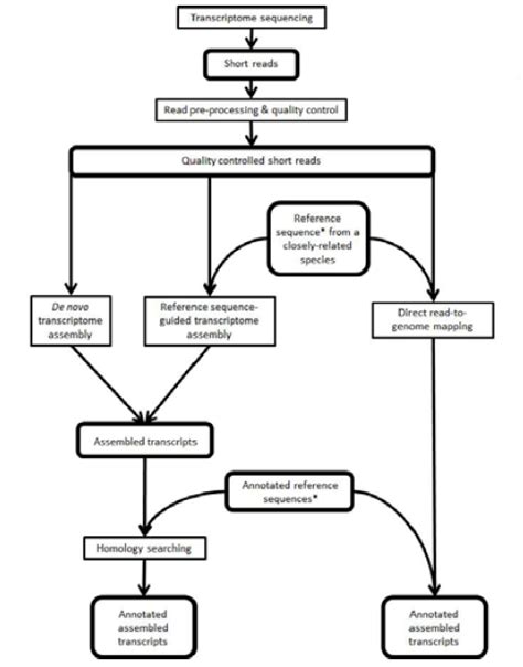 Optimization Of Next Generation Sequencing Transcriptome Annotation For Species Lacking
