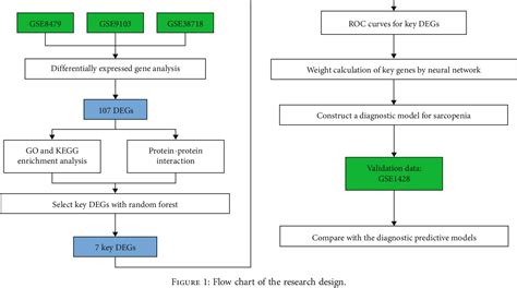 Figure 1 From Development And Verification Of A Combined Diagnostic Model For Sarcopenia With