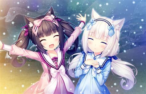 ネコぱら【ショコラ（ネコぱら） バニラ】 壁紙
