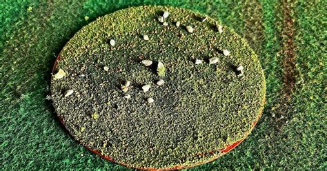 1866 And All That Hidden Terrain Items