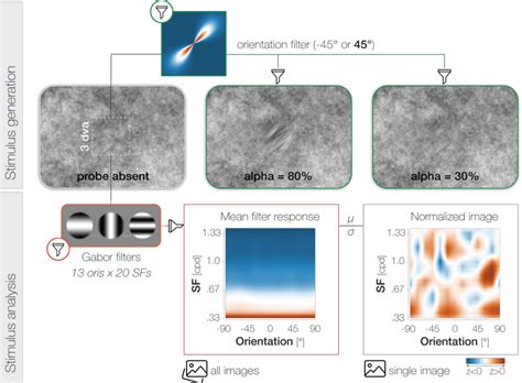 Stimulus Generation Top And Analysis Bottom To Generate Probe And