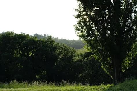 Imagens De Promessi Sposi Baixe Imagens Gratuitas Na Unsplash