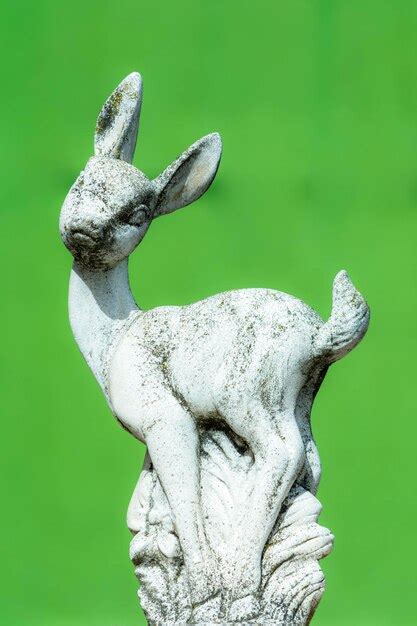 Premium Photo Close Up Of Lizard On Statue