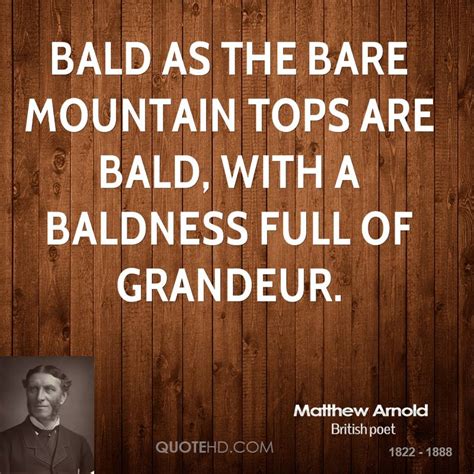 Bald Quotes Quotesgram