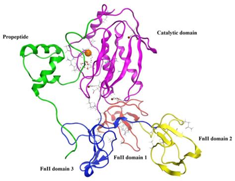 Identification Of Mmp9 As A Novel Key Gene In Mantle Cell Lymphoma