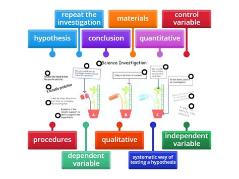 Parts Of A Scientific Investigation Labelled Diagram