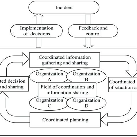 dynamic decision making and coordination continuity flow chart