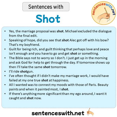 sentences with shot sentences about shot in english sentenceswith