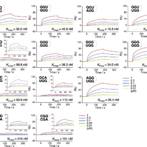 Spr Analysis Of The Binding Of Ncd To A The Inhibited Mutants And B