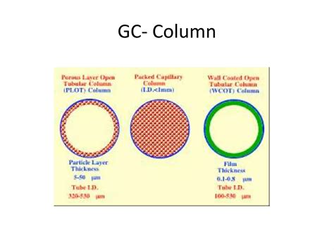 Gas Chromatography Detectors Types Ppt