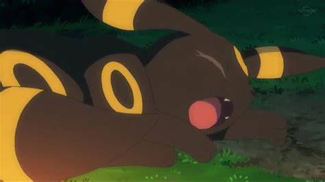 🌟eevee🌟 On Twitter The Cutest Dark Type