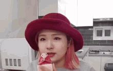 Hachubby Drink  Hachubby Hachu Drink Discover And Share S