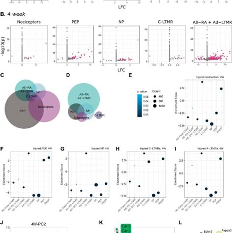experimental overview for mouse subtype rna seq of 5 neuronal subtypes