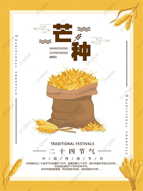 망 종 일러스트 보리 노란색 전시대 포스터 템플릿 Psd 다운로드 디자인 자료 다운로드