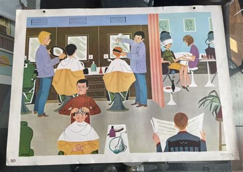 Affiche Scolaire Fernand Nathan Sc Nes De La Vie N Ann Es Double Face Eur