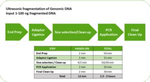 Next Generation Sequencing Intact Genomics
