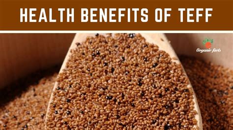 Health Benefits Of Teff Nutritional Facts About Teff Grain Youtube