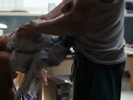 Bibiana Beglau Nude Pics Videos Sex Tape