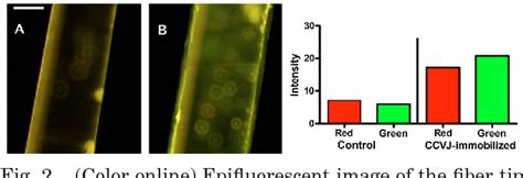 Figure 1 From Optical Fiber Based Fluorescent Viscosity Sensor Semantic Scholar