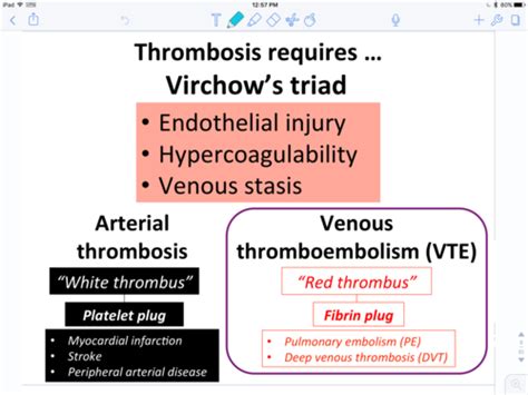 Heme Lx Thrombus And Hypercoagulable States Flashcards Quizlet