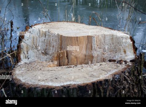 Truncate Hi Res Stock Photography And Images Alamy