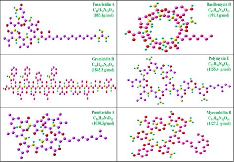 Representative Structures Of Major Lipopeptide Biosurfactants