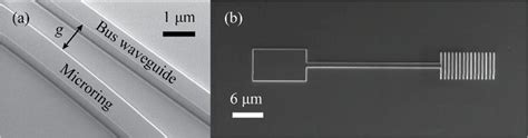 A Sem Image Showing The Coupling Region Between A Microring Resonator