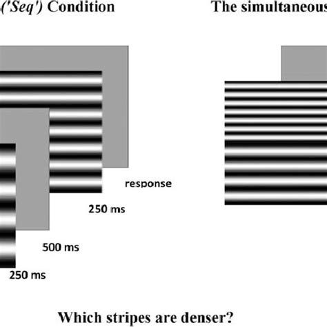 a schematic illustration of the sequential seq left and the