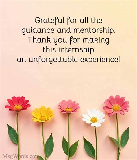 20 Best Thank You Messages For Internship Msgwords