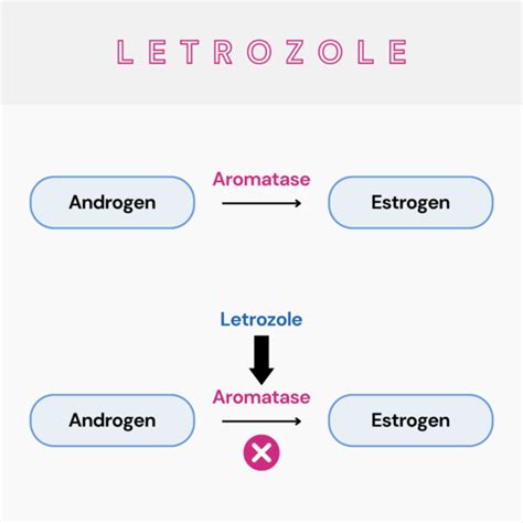 Foods To Avoid While Taking Letrozole For Fertility