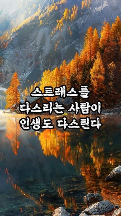 스트레스를 다스리는 사람이 인생도 다스린다 스트레스관리 스트레스극복 멘탈관리 삶의주도권 마음챙김 스트레스에서벗어나기