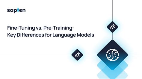 fine tuning vs pre training their impact on language models