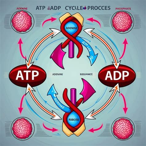 Atp Energy Images Free Download On Freepik