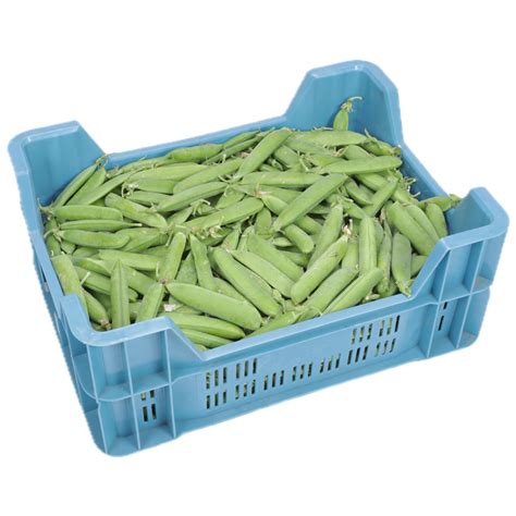 P Smets And Zn Homepage