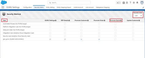 How To Set Access Validation For Users And Profiles For Promote Quote Using Security Matrix