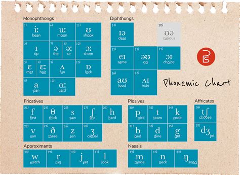 Phonemic And Phonetic Transcriptions Compared