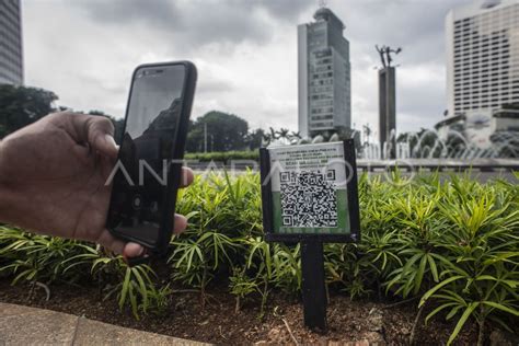 kode batang tanaman di jalan protokol ibu kota antara foto