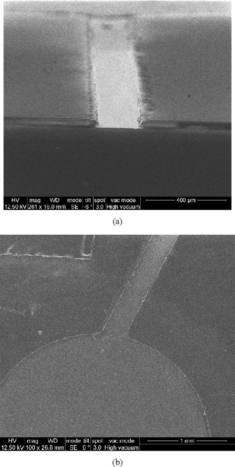 Figure 4 From Microfluidic System For Dielectrophoretic Separation Of Microbiological Objects