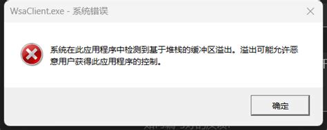 wsaclient exe 系统在此应用程序中检测到基于堆栈的缓冲区溢出 吾爱破解 52pojie cn