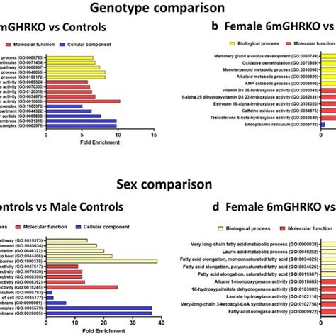 Pathway Analysis Of The Differentially Expressed Genes From The