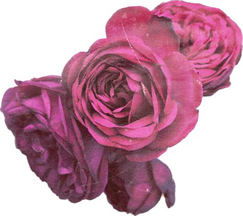 Pink Stickers Pngs For Free Download