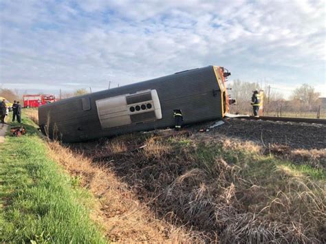 Zaqatalada “qazel” Qatarla Toqquşub