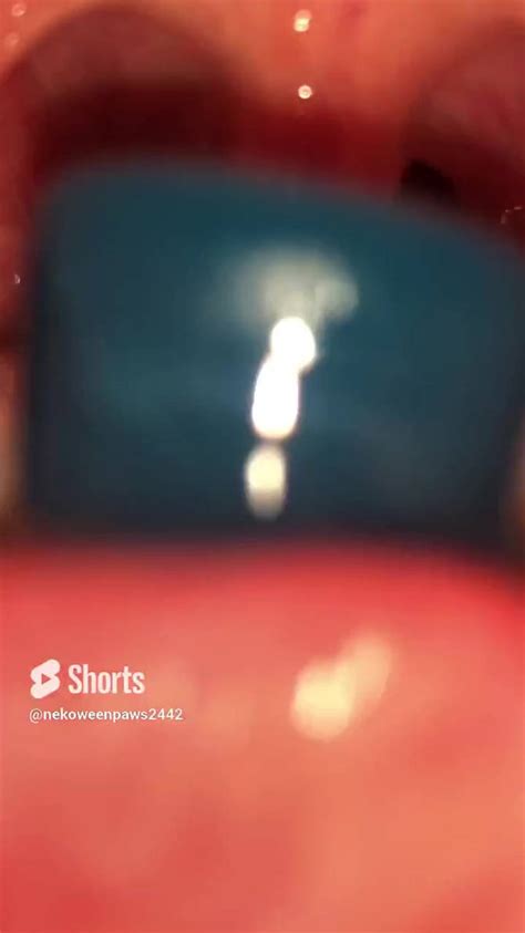 Goddess Kitten Eats A Gummy Scope Vore By Nekoweenpaws On DeviantArt